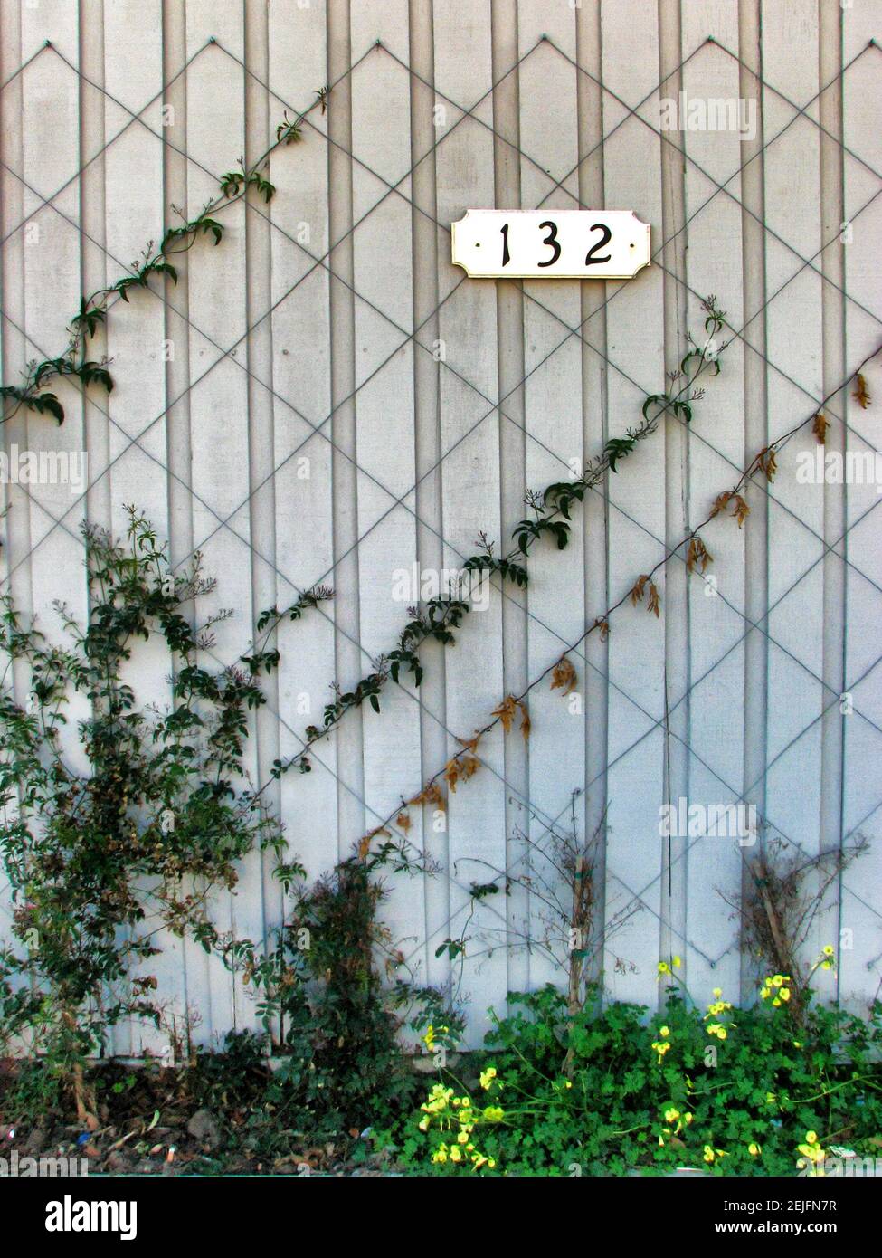 Vines crawl hi-res stock photography and images - Alamy