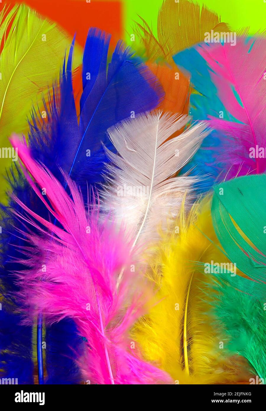Feathers as still-life Stock Photo - Alamy