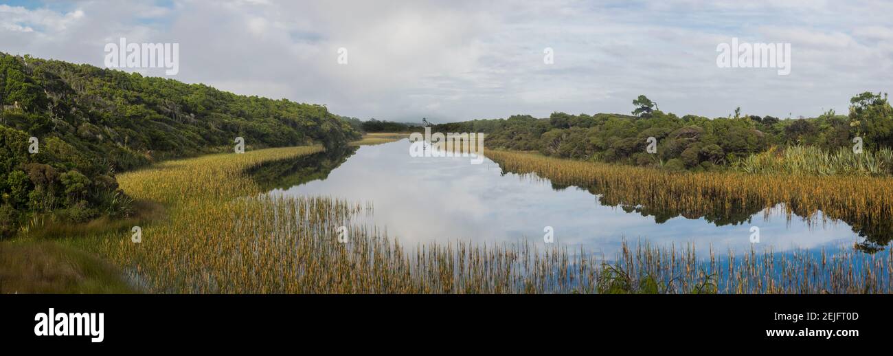 Wetlands at Ship Creek Park, Haast, Westland District, West Coast ...