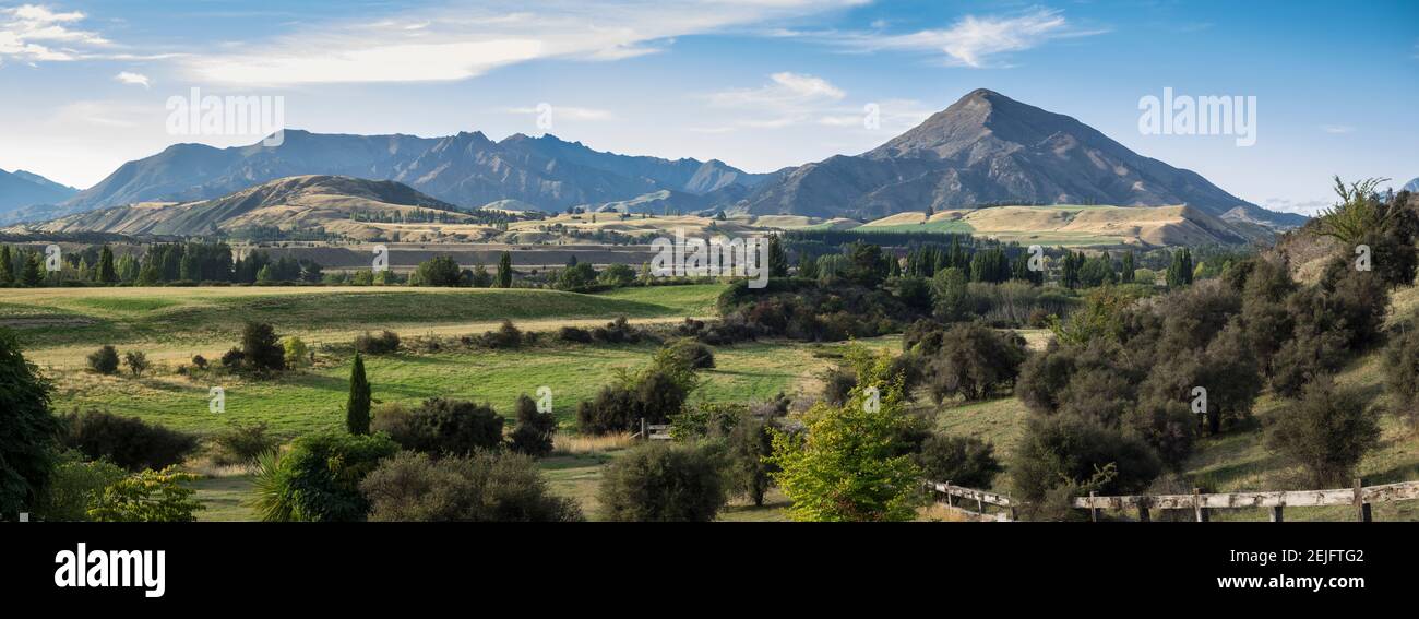 Trees on a landscape, Riverrun Lodge, Luggate, Queenstown-Lakes ...
