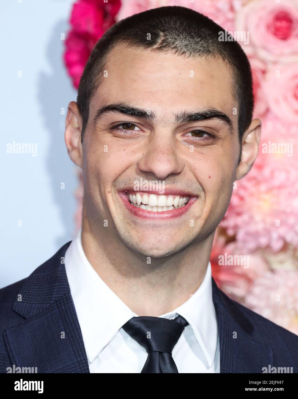 HOLLYWOOD, LOS ANGELES, CALIFORNIA, USA - FEBRUARY 03: Actor Noah ...