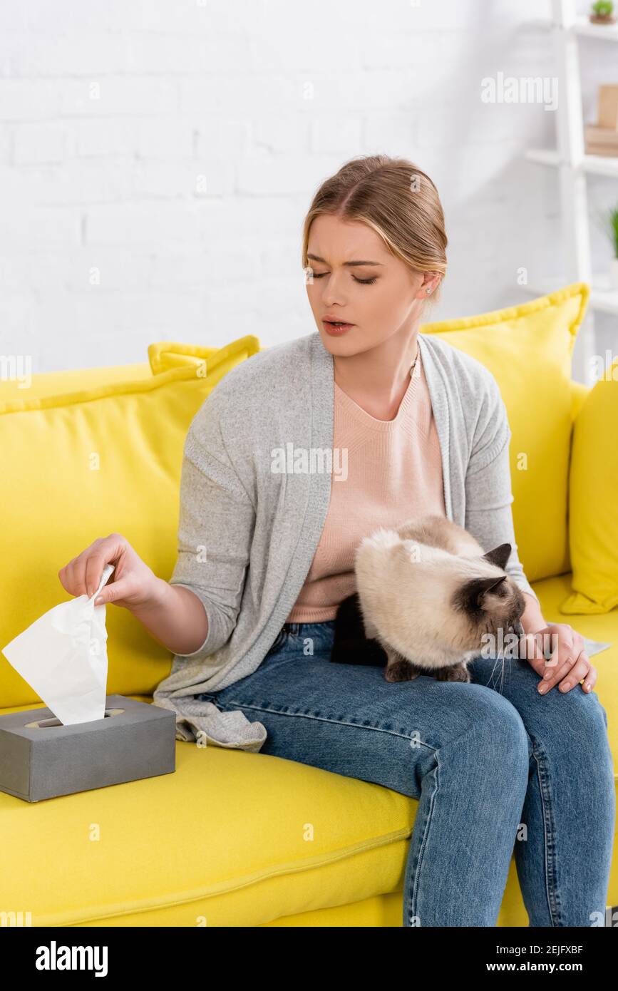Woman allergy taking napkin hi-res stock photography and images - Alamy