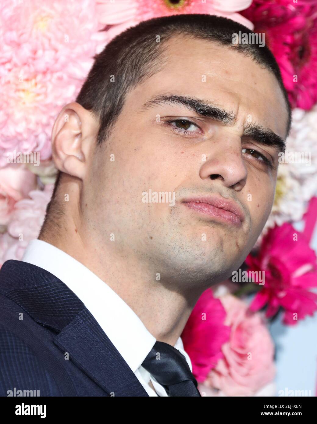 HOLLYWOOD, LOS ANGELES, CALIFORNIA, USA - FEBRUARY 03: Actor Noah ...