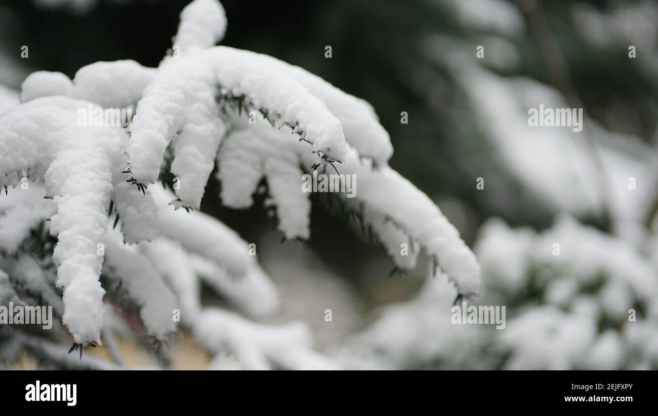 Winter snow photography Stock Photo - Alamy