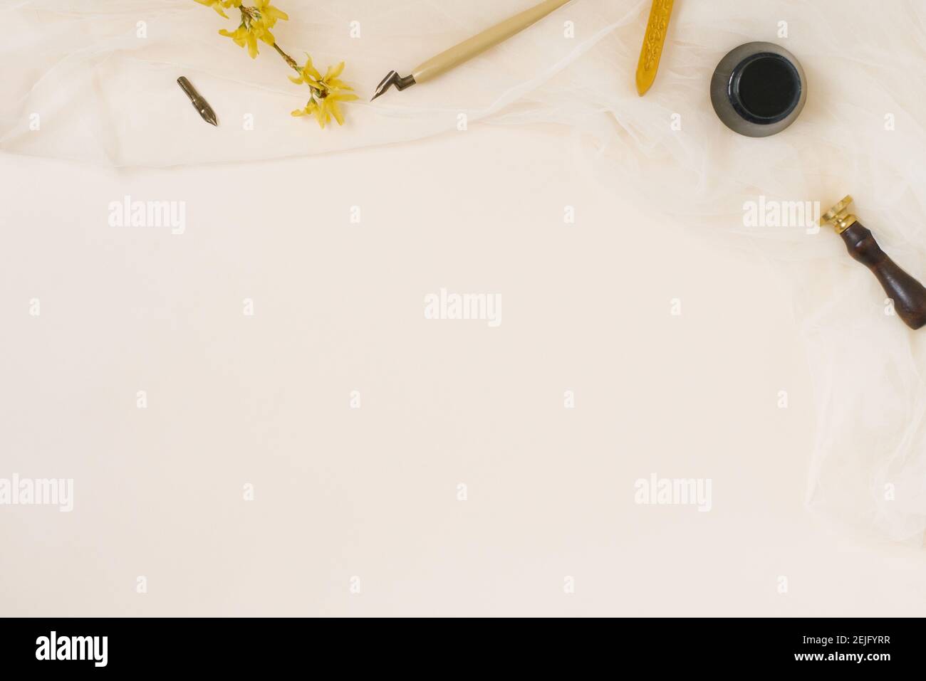 Calligraphy, sharp pen, ink, quills, vintage prints, forsythia flower ...