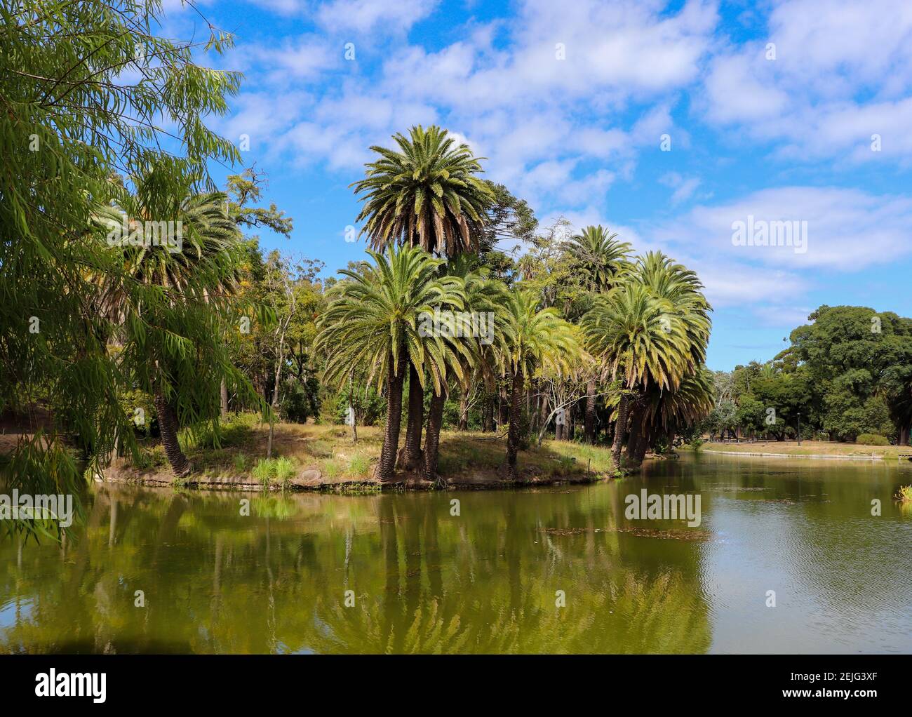 Rodó park montevideo hi-res stock photography and images - Alamy