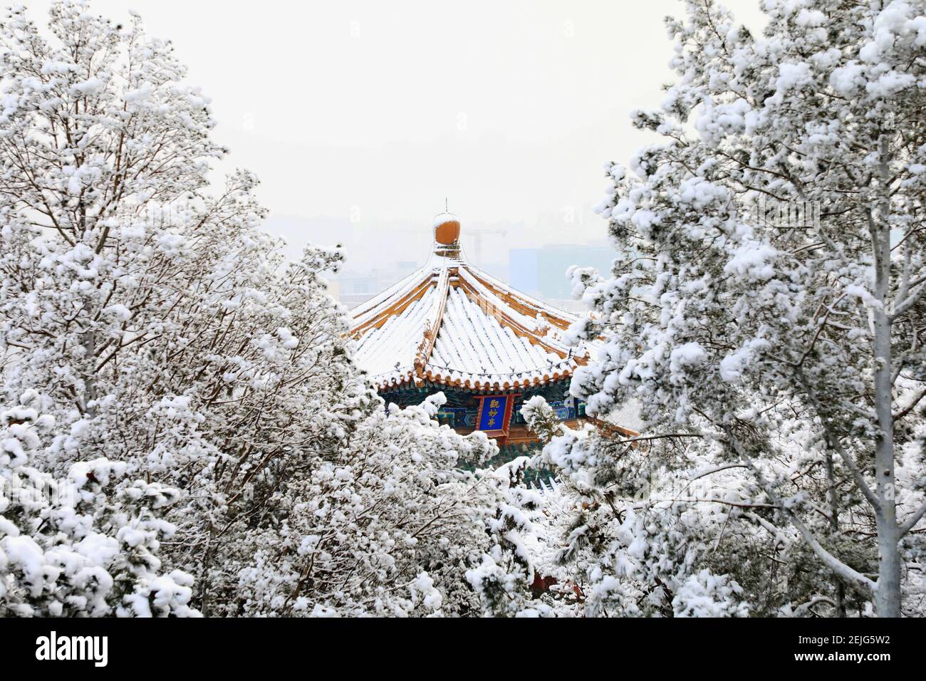 --File--View of the Forbidden City covered by snow in Beijing, China, 6 ...