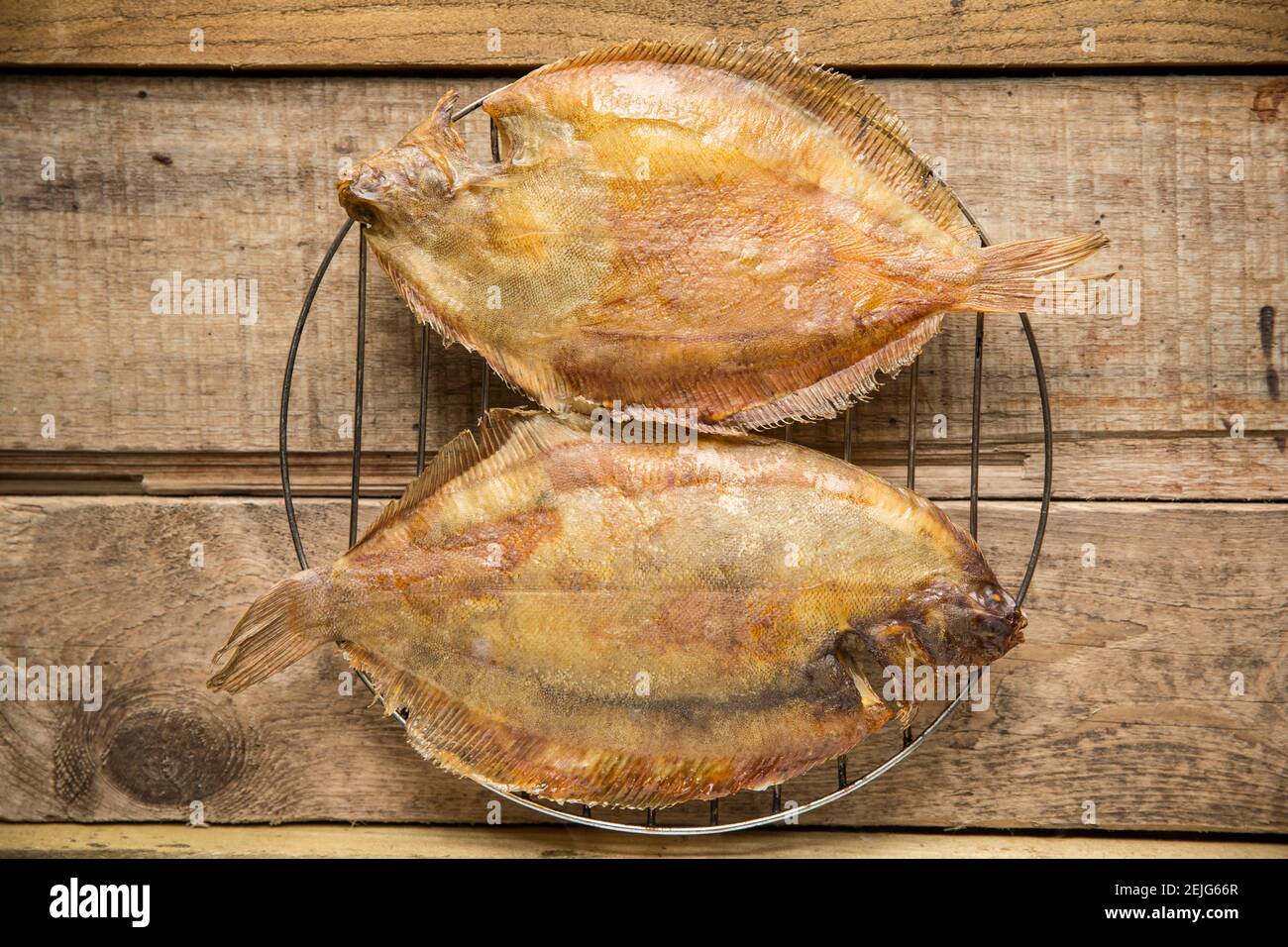 Two lemon soles, Microstomus kitt, that were caught in the English ...