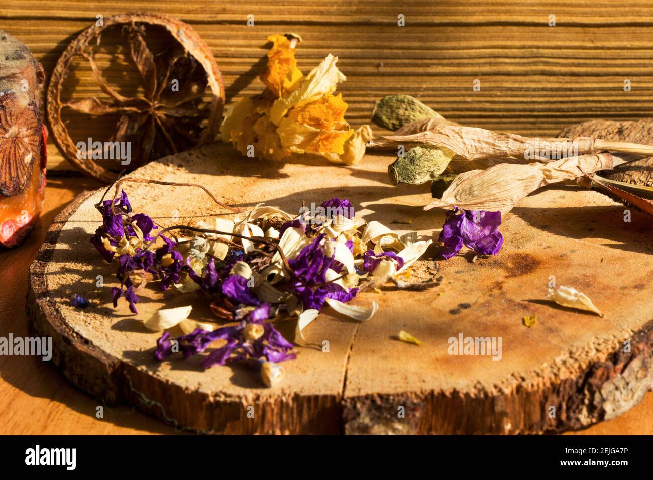Dry flowers, plants and fruit macro and still life, colorful nature ...