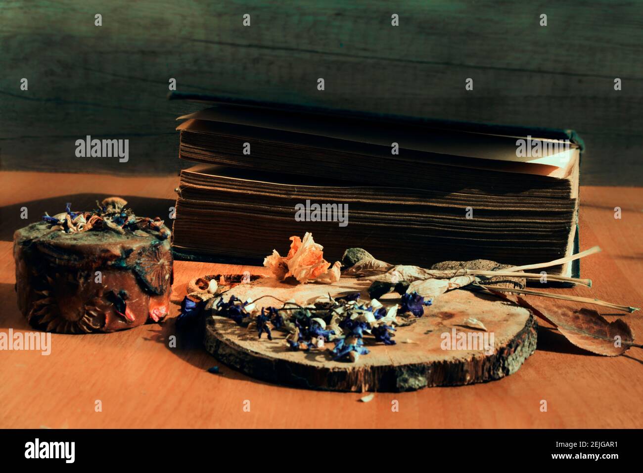 Dry flowers, plants and fruit macro and still life, colorful nature ...