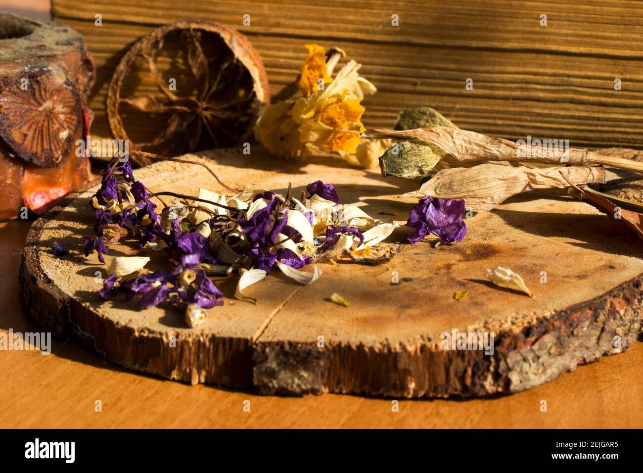 Dry flowers, plants and fruit macro and still life, colorful nature ...