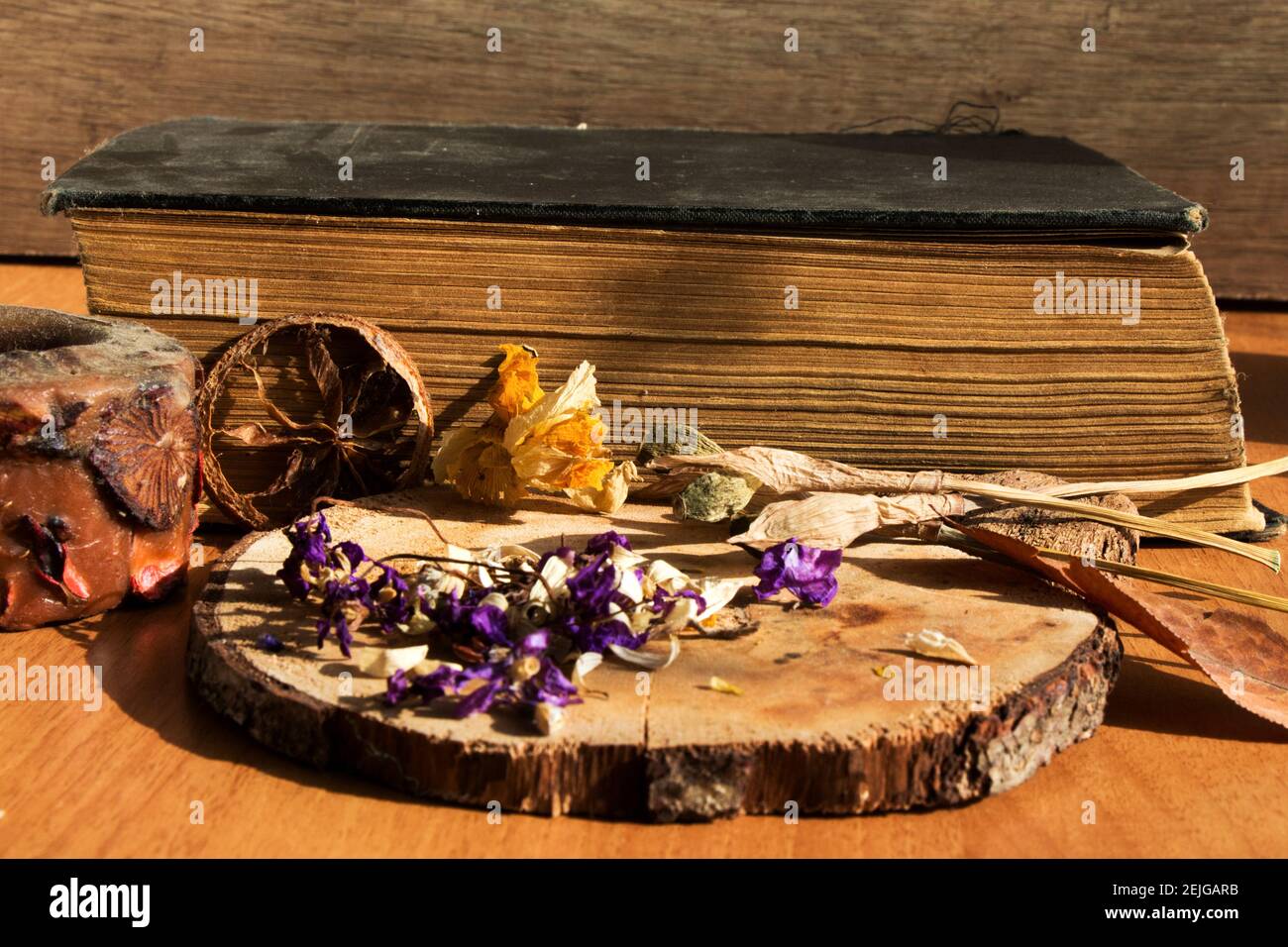 Dry flowers, plants and fruit macro and still life, colorful nature ...