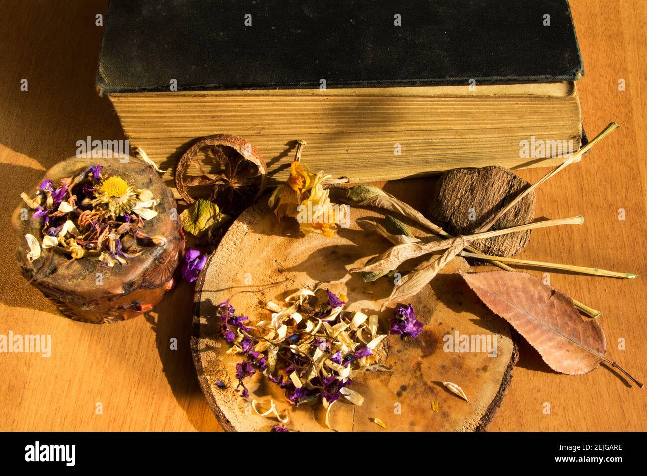 Dry flowers, plants and fruit macro and still life, colorful nature ...