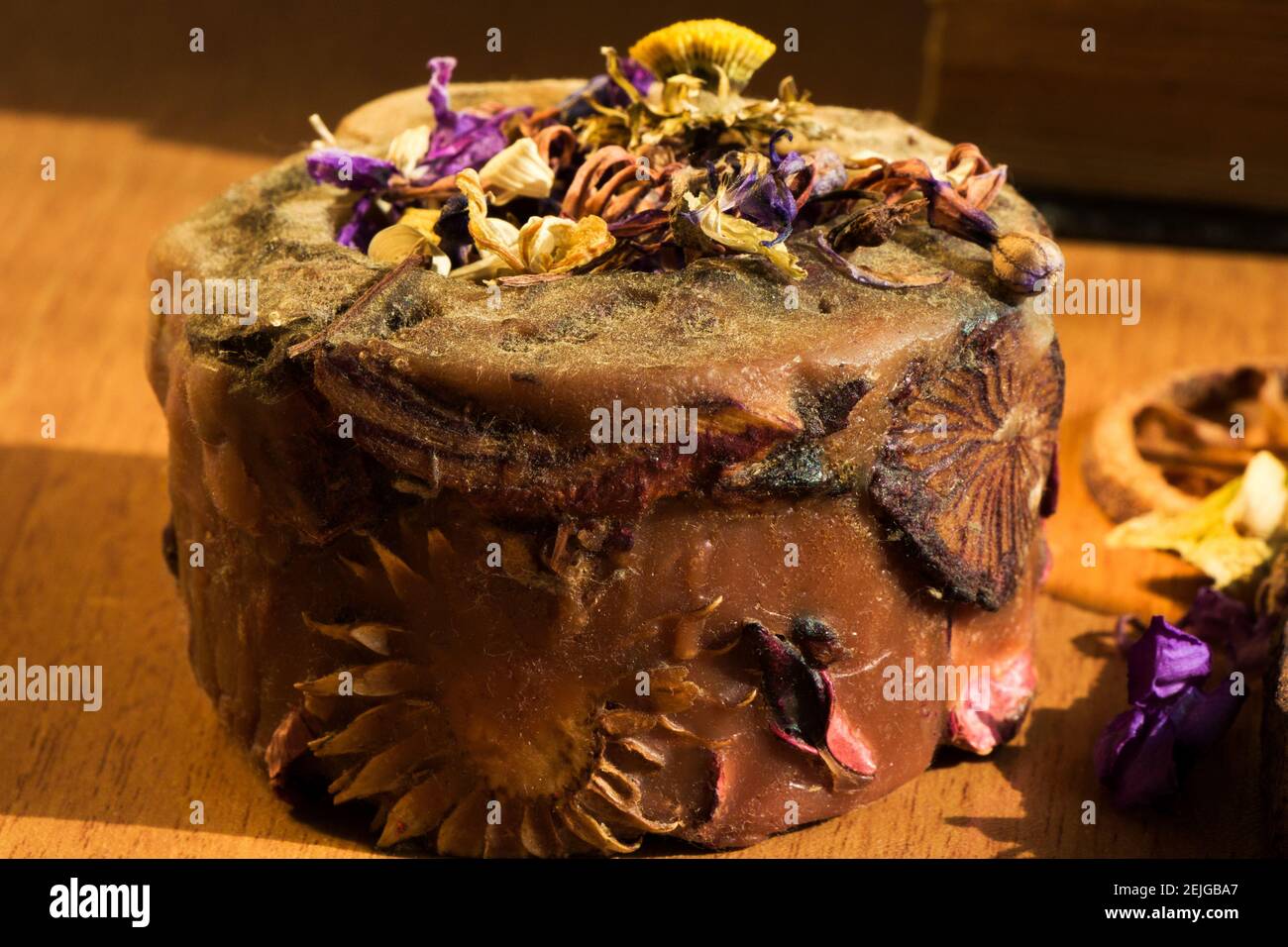 Dry flowers, plants and fruit macro and still life, colorful nature ...