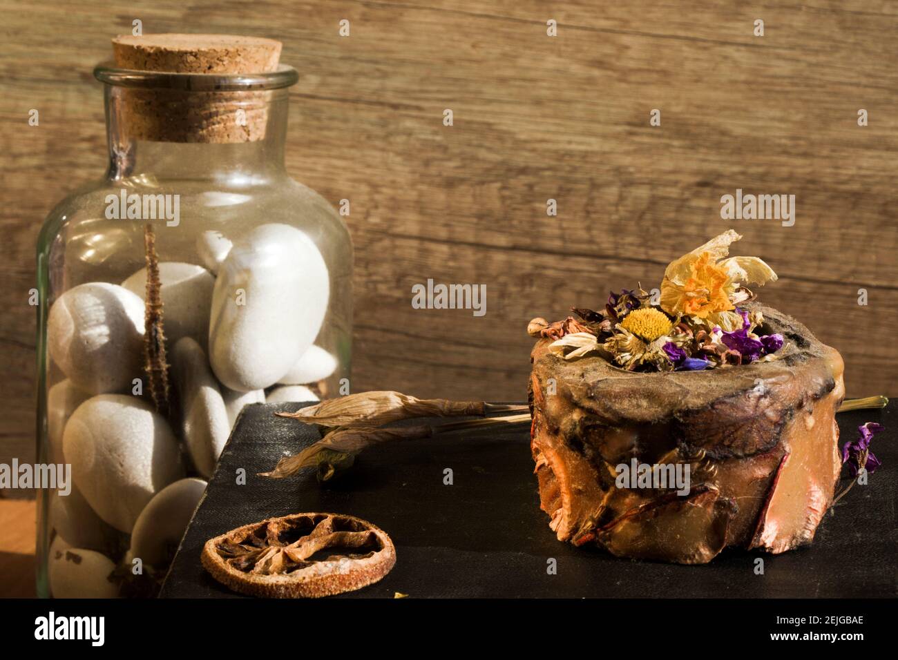 Dry flowers, plants and fruit macro and still life, colorful nature ...