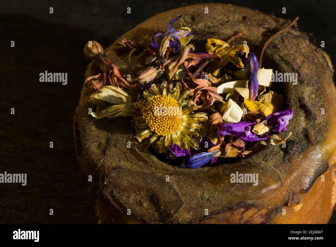 Dry flowers, plants and fruit macro and still life, colorful nature ...