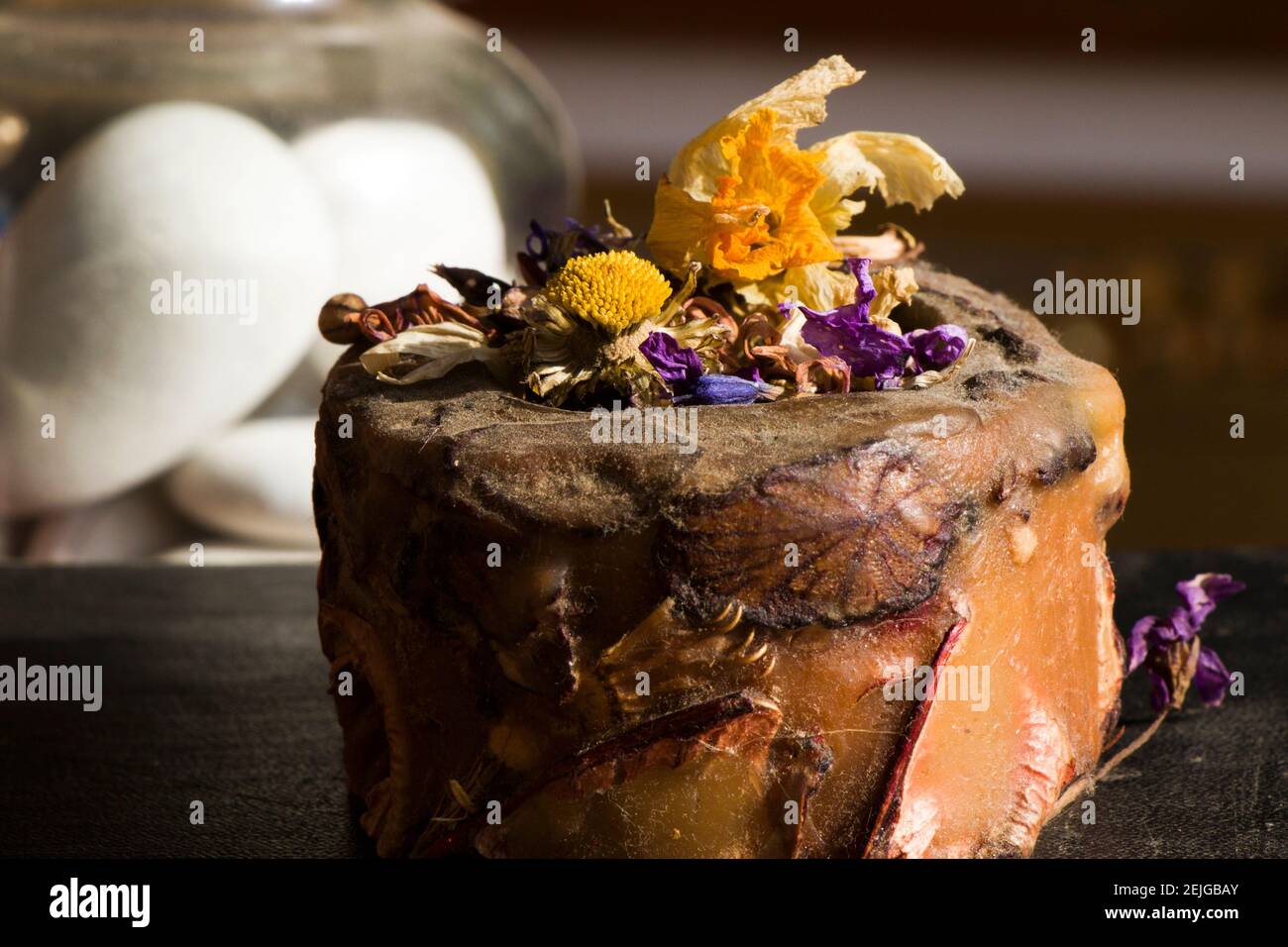 Dry flowers, plants and fruit macro and still life, colorful nature ...