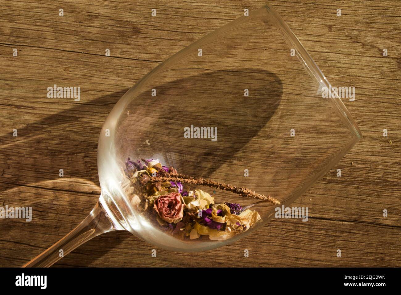 Dry flowers, plants and fruit macro and still life, colorful nature ...