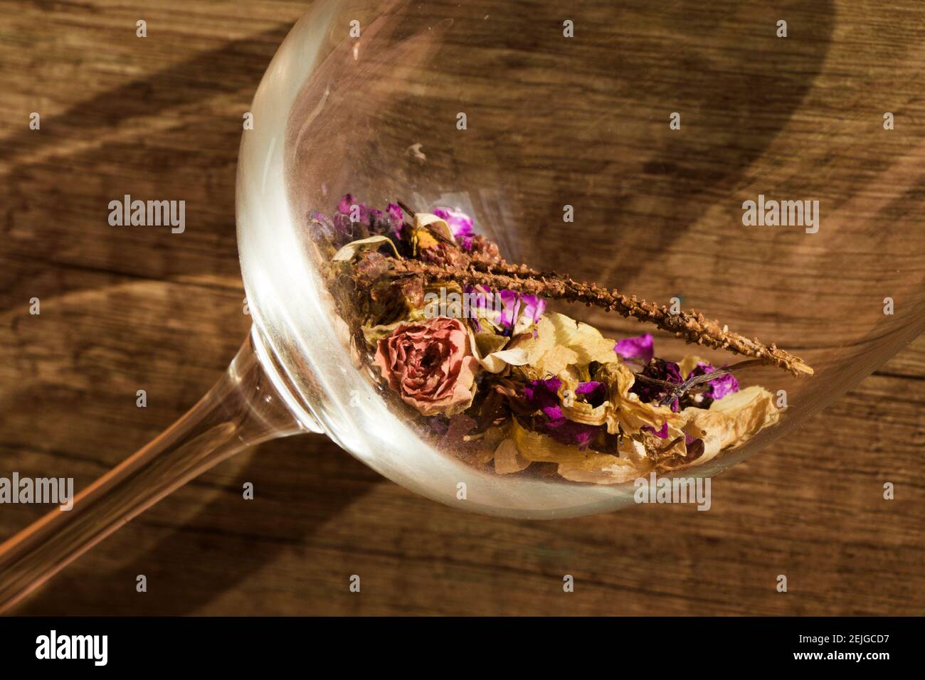 Dry flowers, plants and fruit macro and still life, colorful nature ...