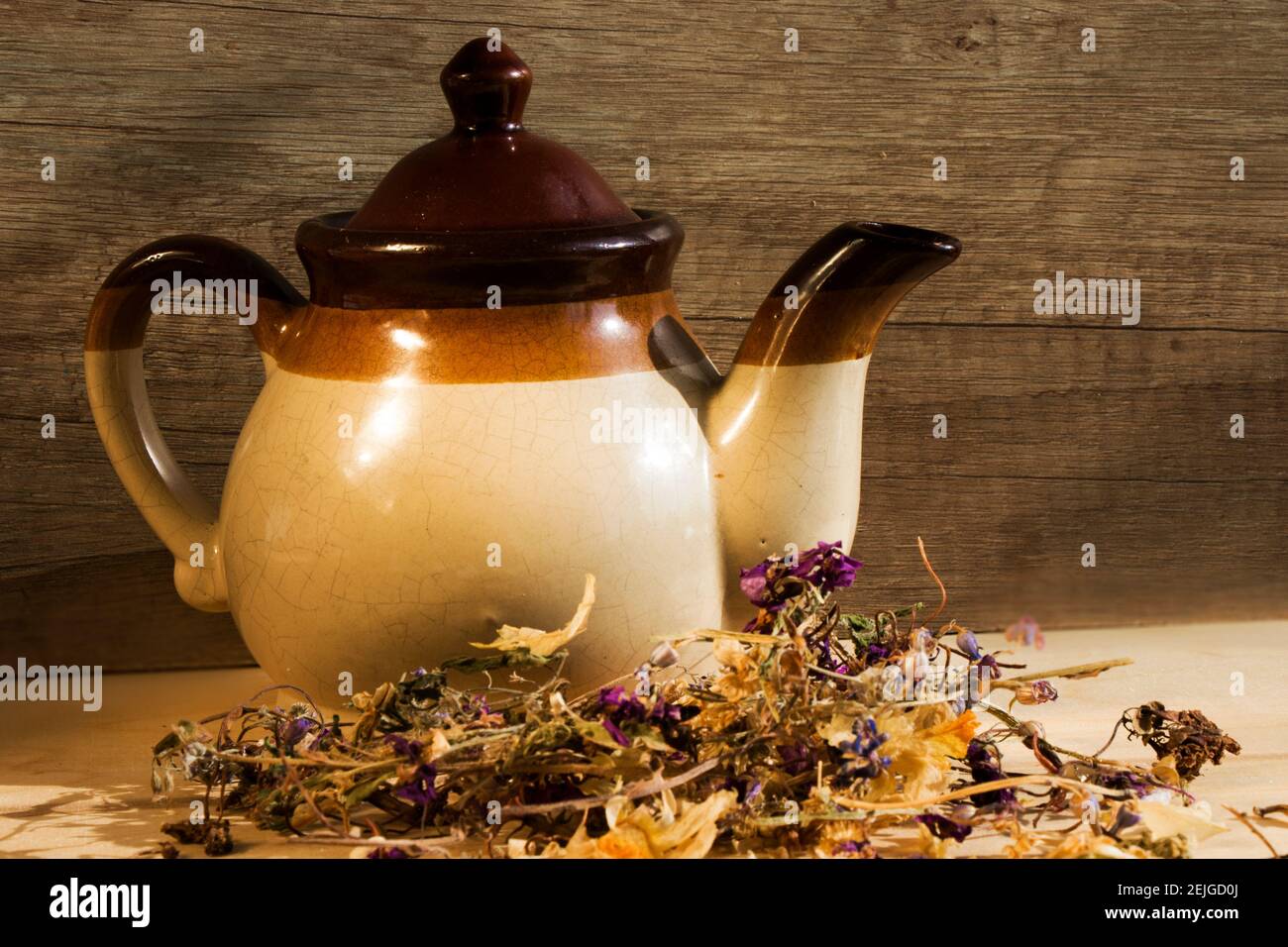 Dry flowers, plants and fruit macro and still life, colorful nature ...
