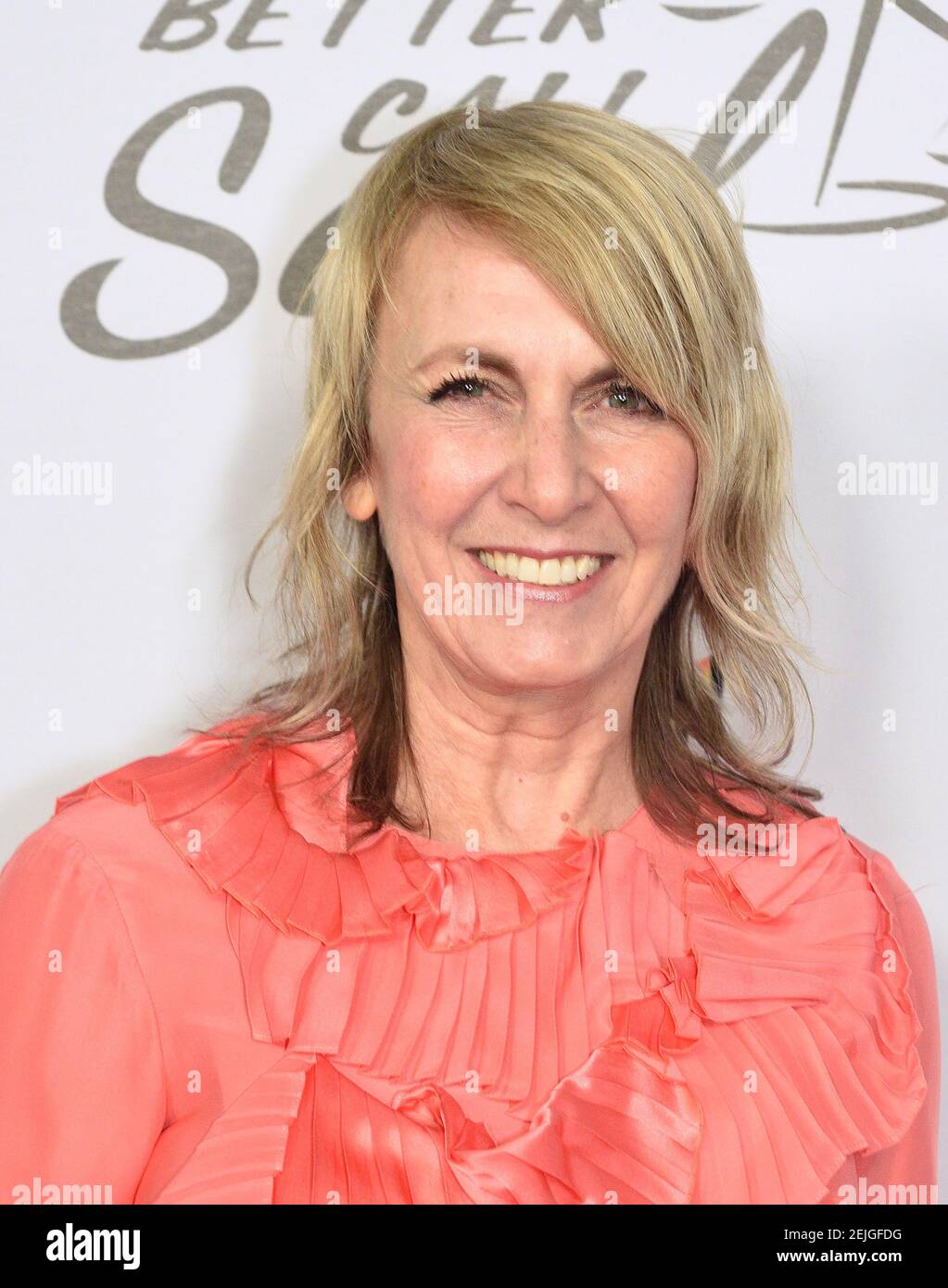 HOLLYWOOD, CALIFORNIA - FEBRUARY 05: Bronwen Hughes attends the ...