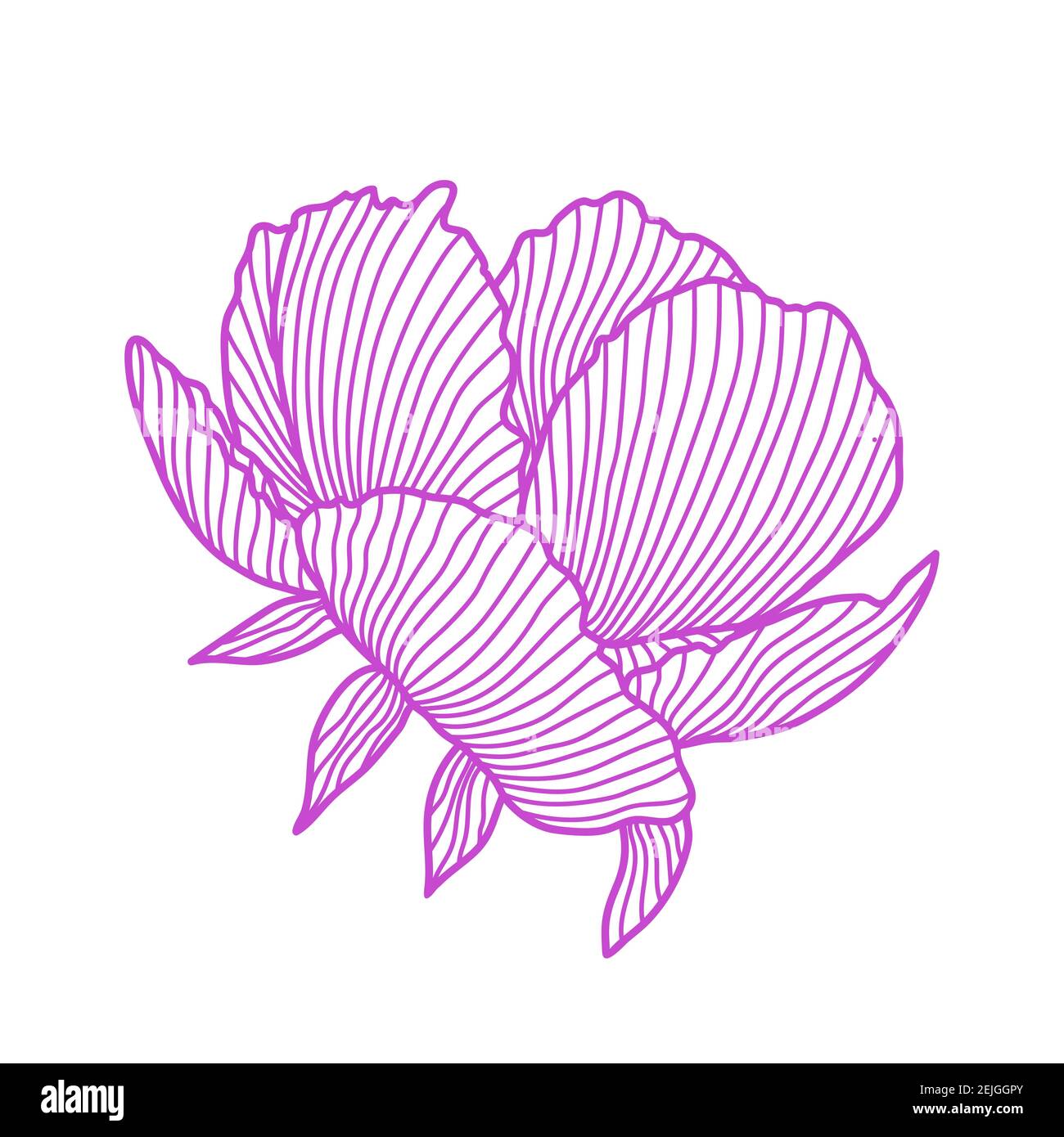 Outline poppy flower linear Stock Vector Images - Alamy