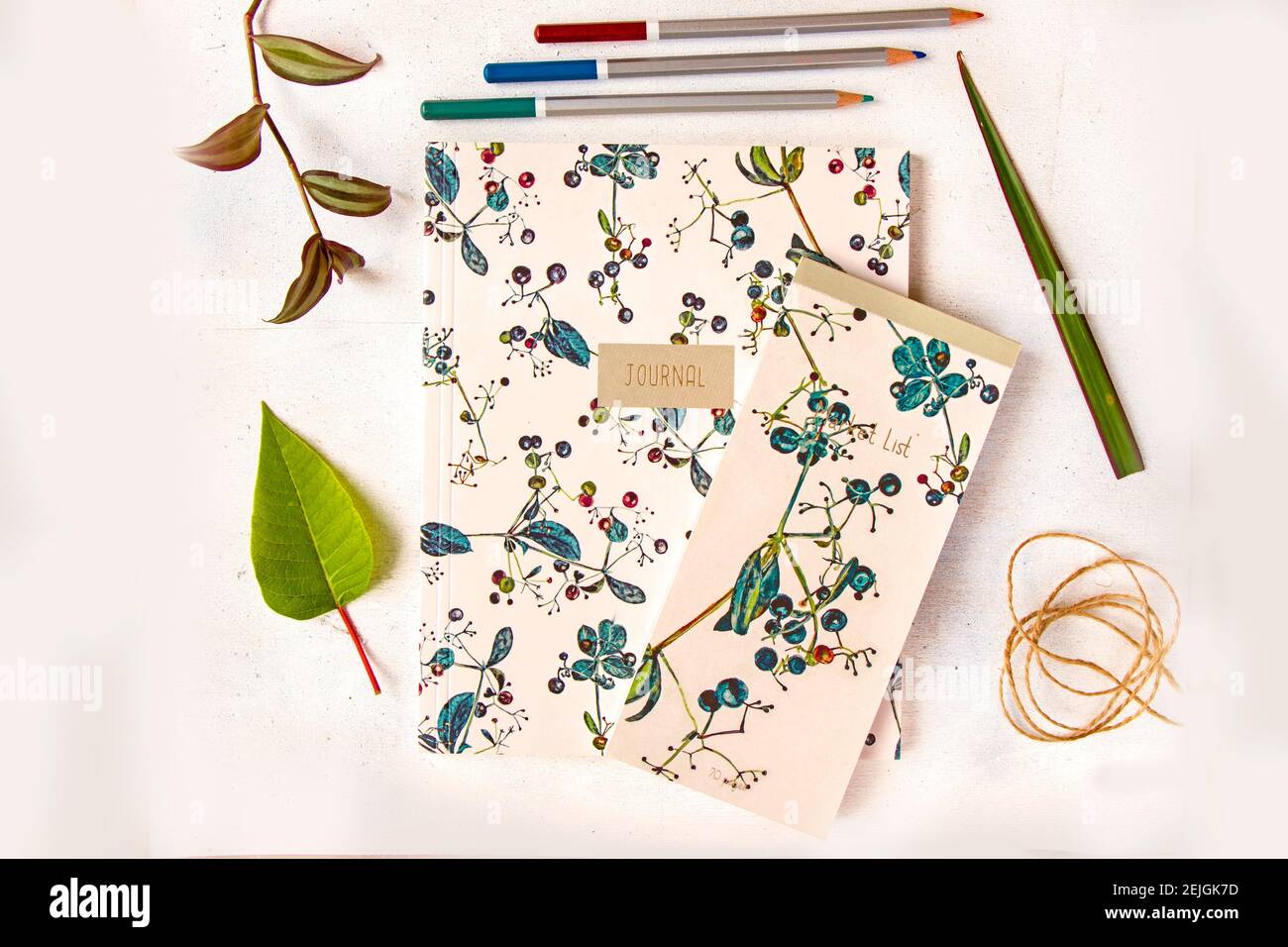 Notebook, pencils and plants on the white background, studio shot ...