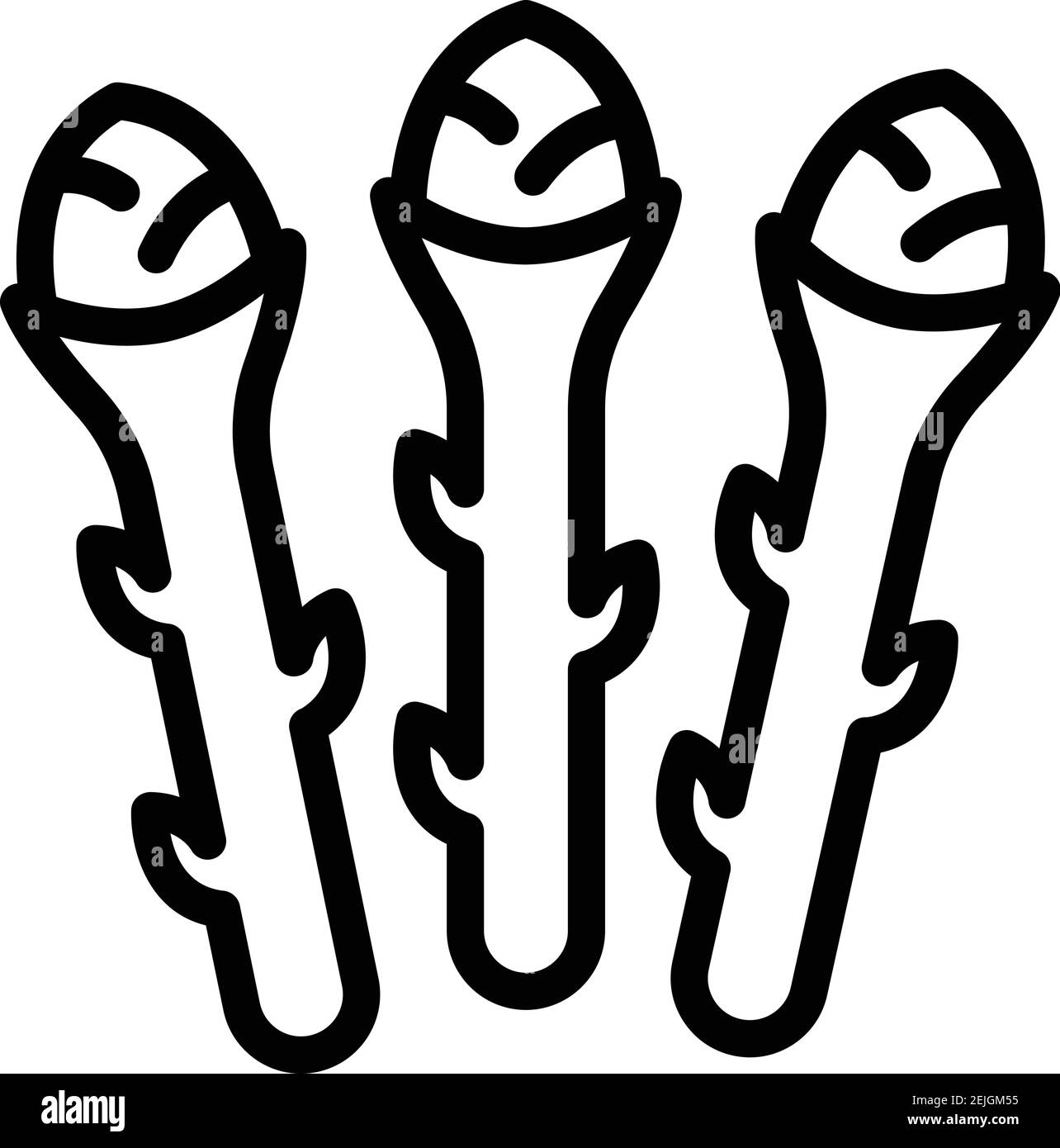 Organic asparagus icon. Outline organic asparagus vector icon for web ...
