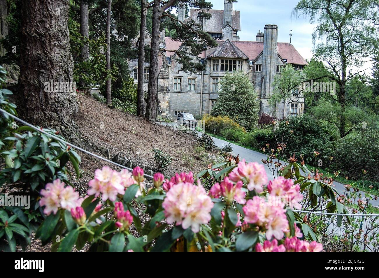 Pink flowers Cragside Northumberland UK Stock Photo - Alamy