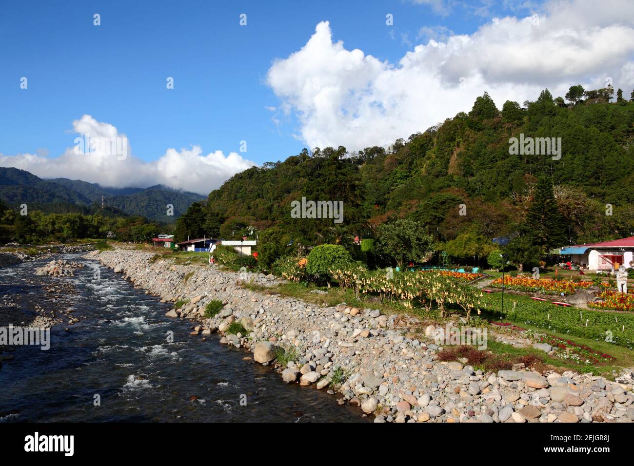 View looking upstream along River Caldera from bridge in Boquete ...