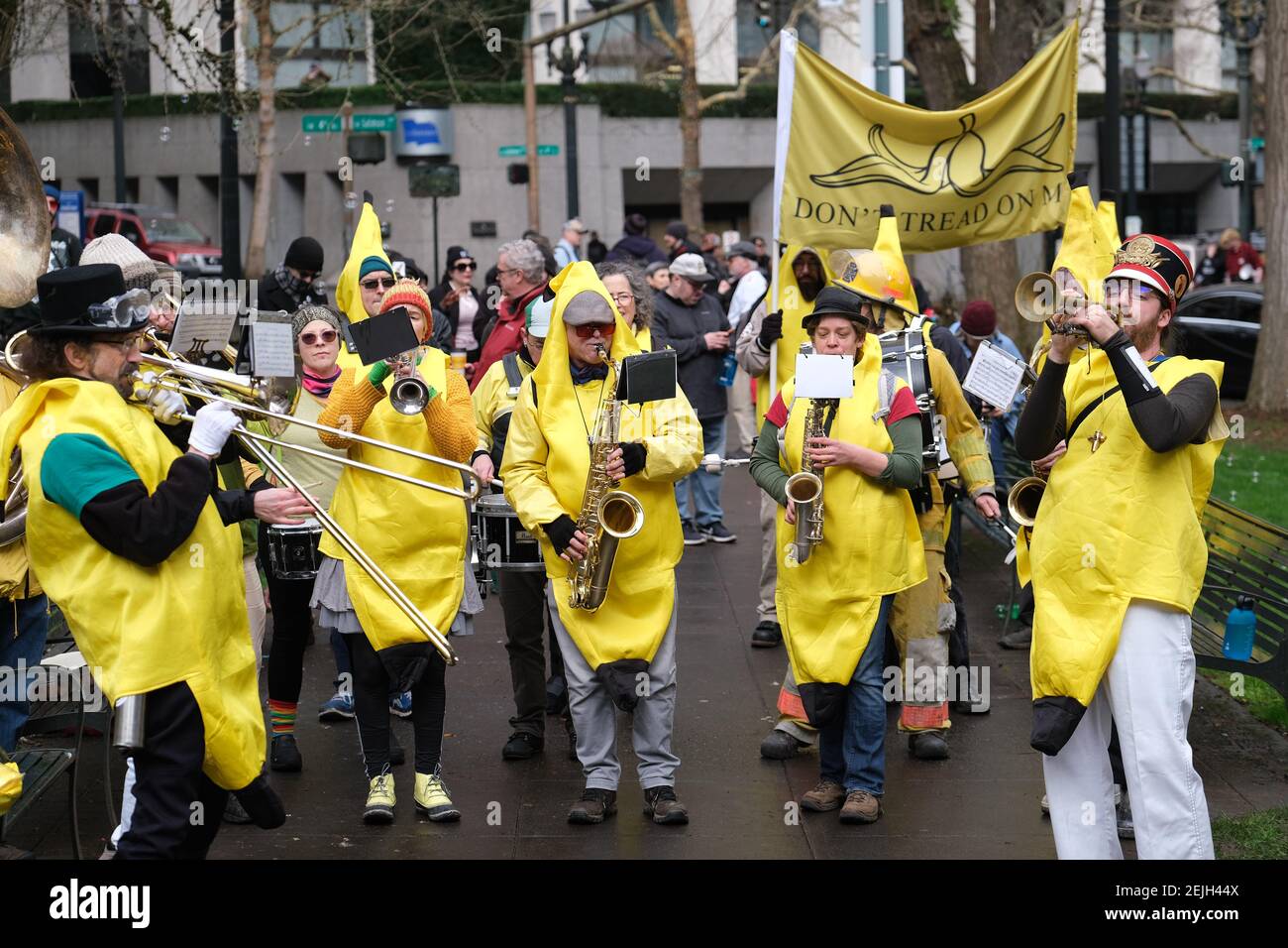 The banana bloc antifascist marching band play music at a protest in ...