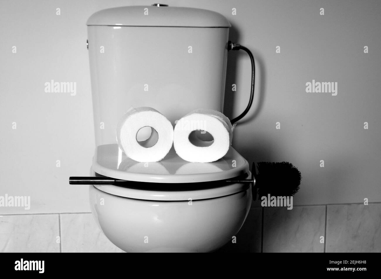 Toilet paper in a roll. Snow-white soft three-layer toilet paper Stock ...