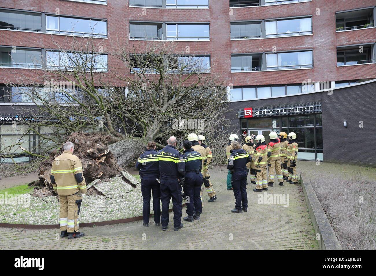 OSS, , 09-02-2020, dutchnews, , Storm damage due to storm Ciara ...