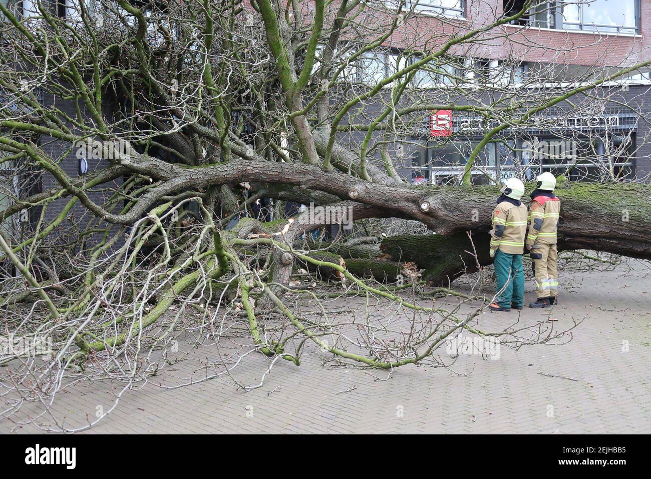OSS, , 09-02-2020, dutchnews, , Storm damage due to storm Ciara ...