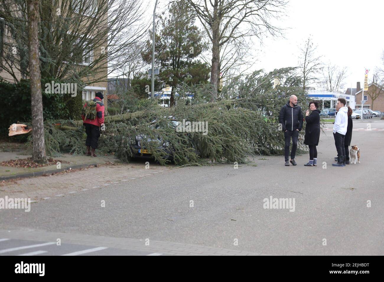 OSS, , 09-02-2020, dutchnews, , Storm damage due to storm Ciara ...