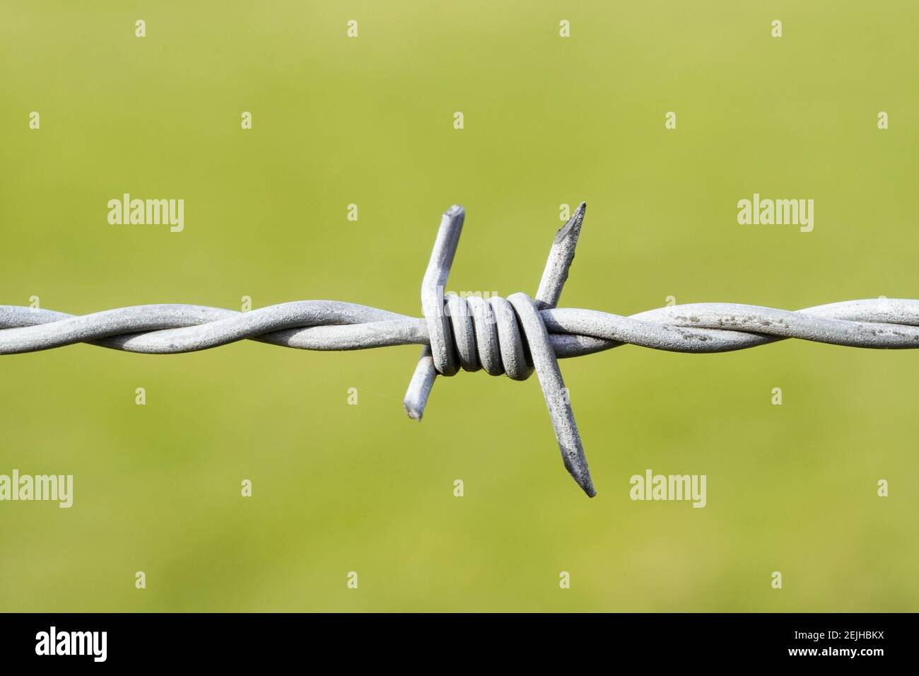 Close up of the barbed wire fence. Steel wire fence Stock Photo - Alamy
