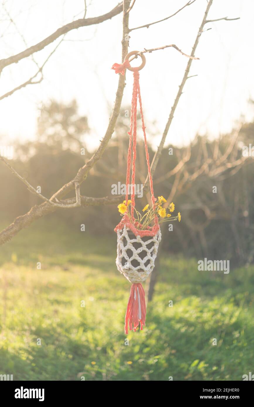 Macrame pot handmade with daisy Stock Photo - Alamy