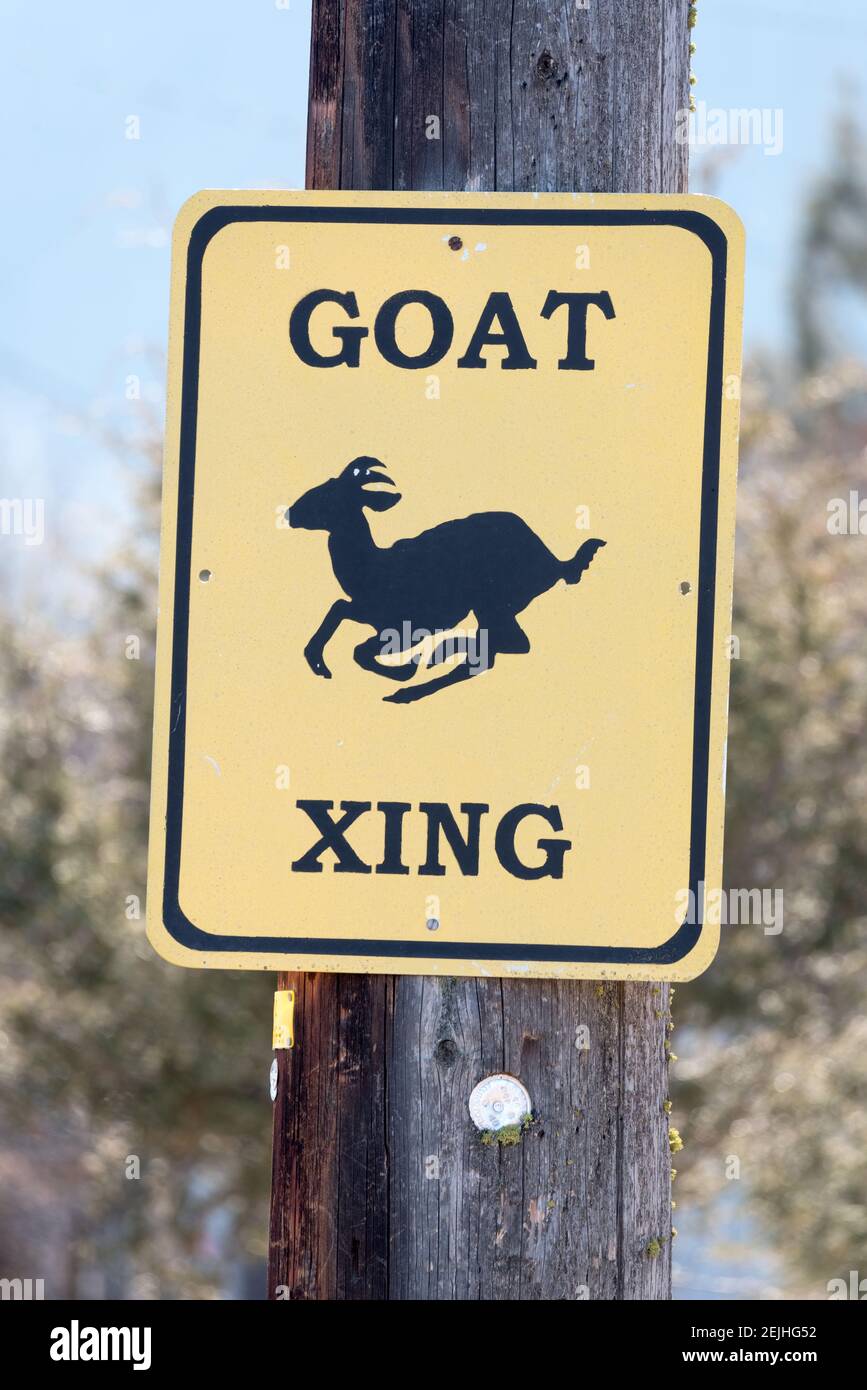 Sign of the goat hi-res stock photography and images - Alamy