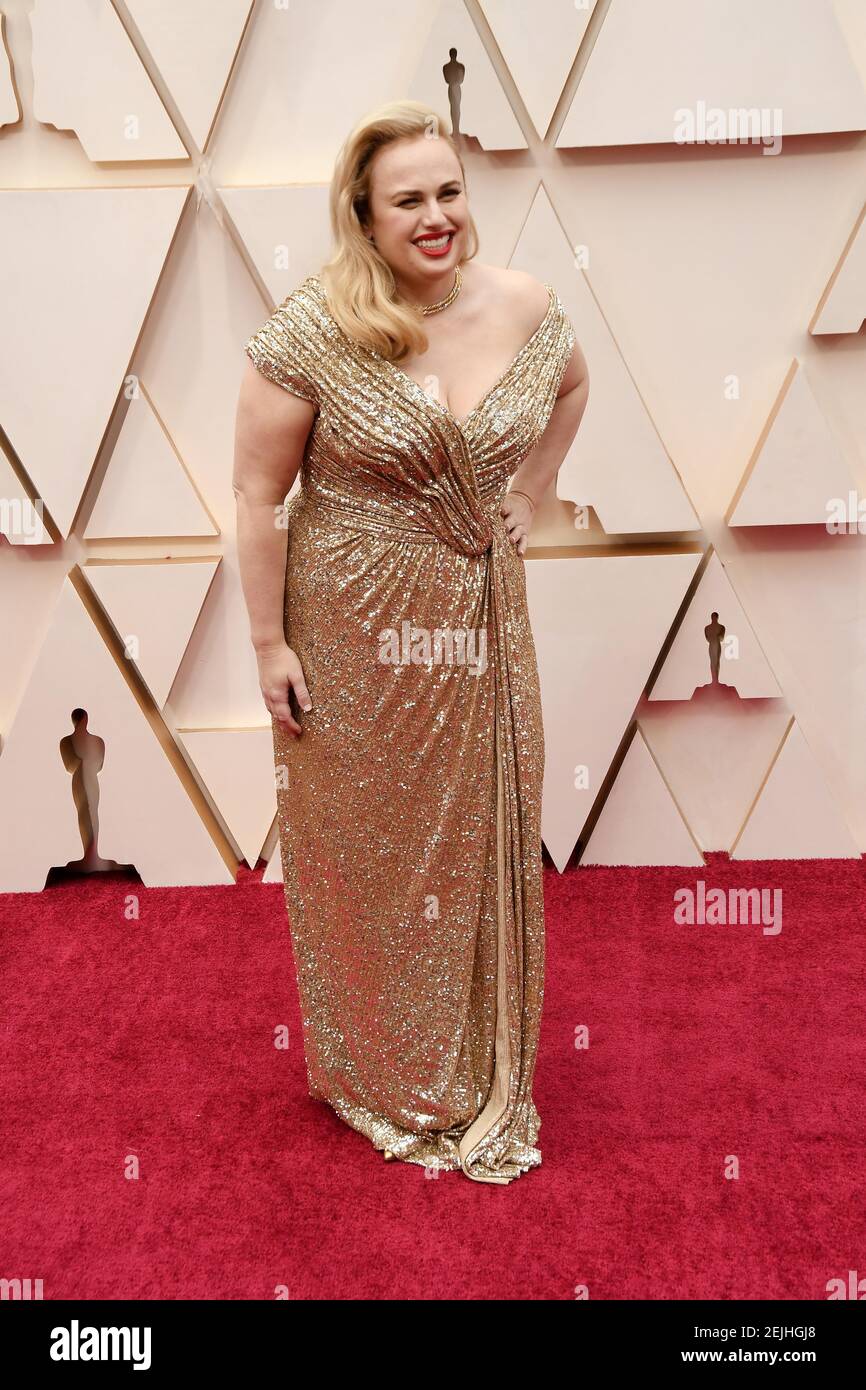 Rebel Wilson walking on the red carpet at the 92nd Annual Academy ...
