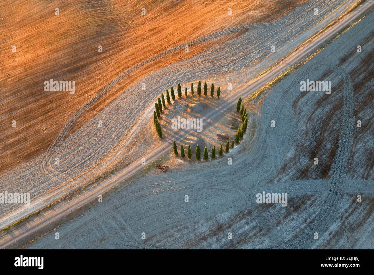 Aerial, vertical view of the famous circle of cypress trees. Colorful ...