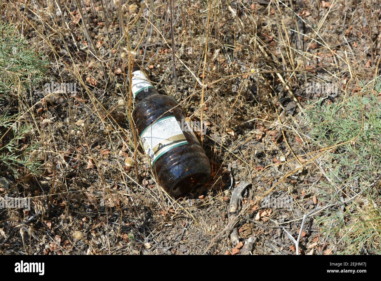 The thrown out glass bottle from under beer on the earth, not the ...