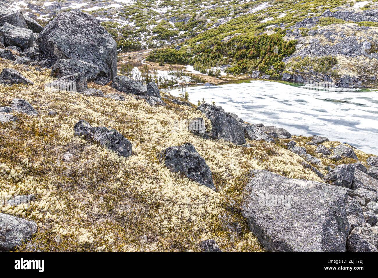 Alaskan rocks hi-res stock photography and images - Alamy