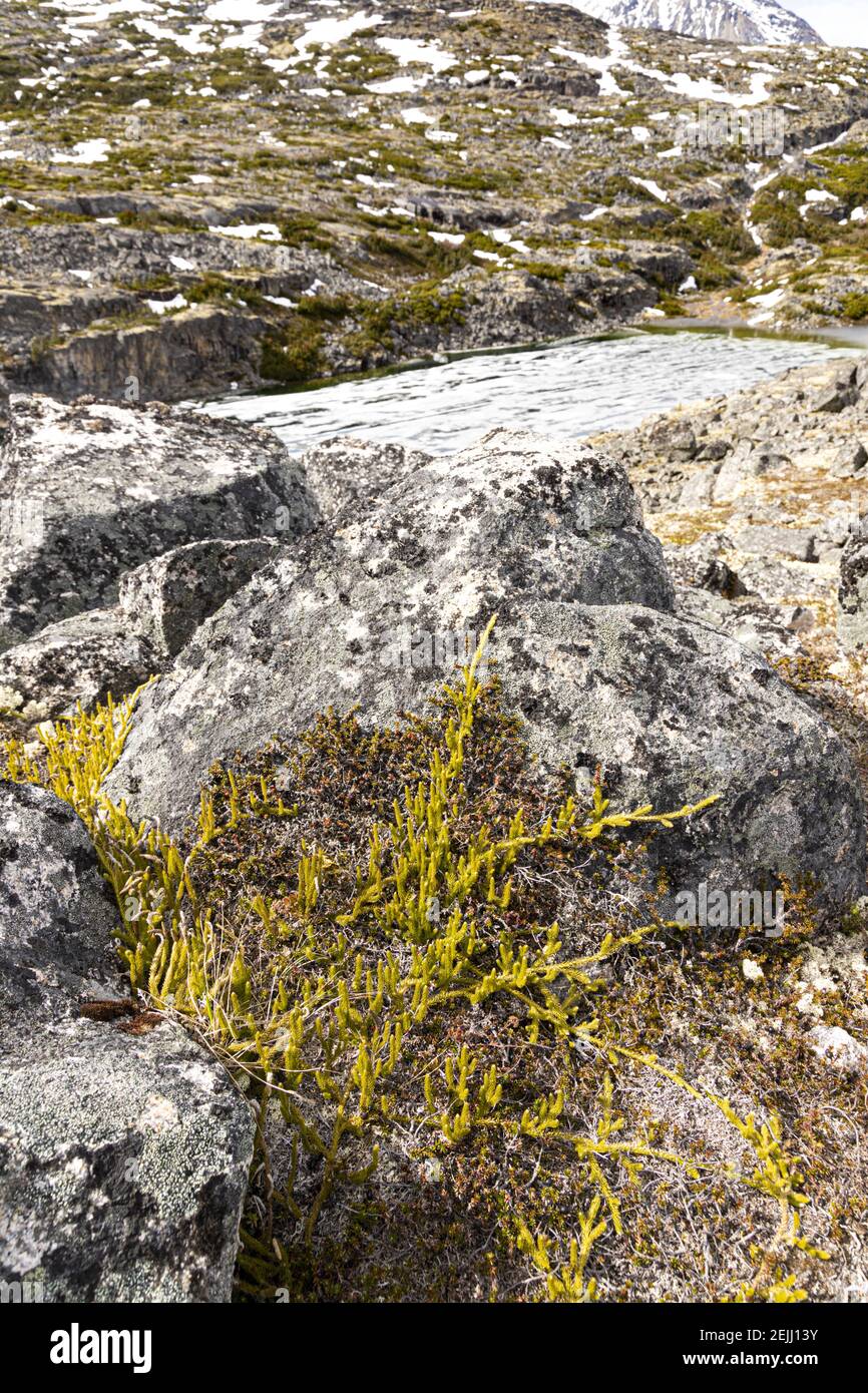 Alaskan rocks hi-res stock photography and images - Alamy