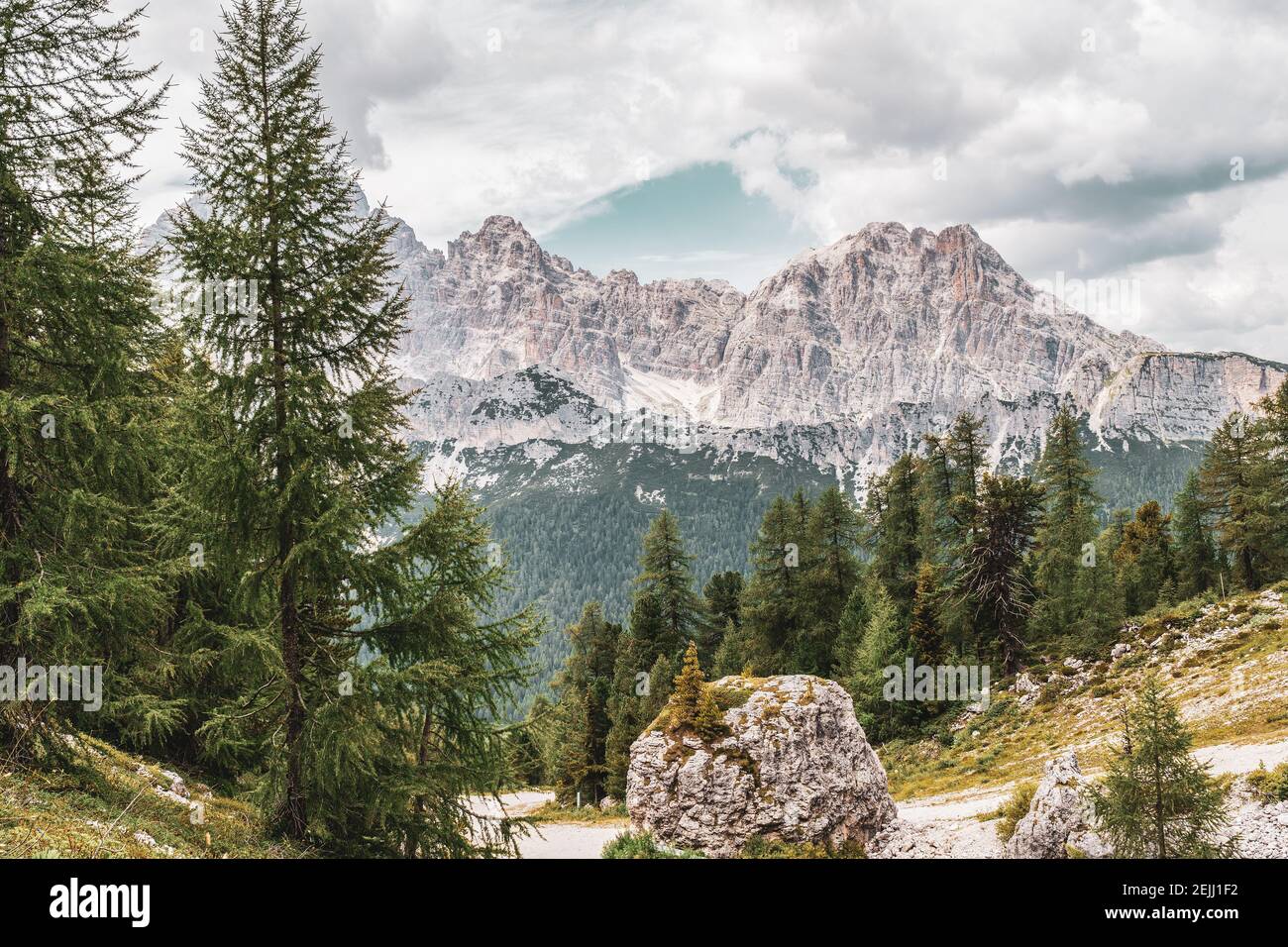panoramic view of the forests and mountains of the Dolomites, Italy ...