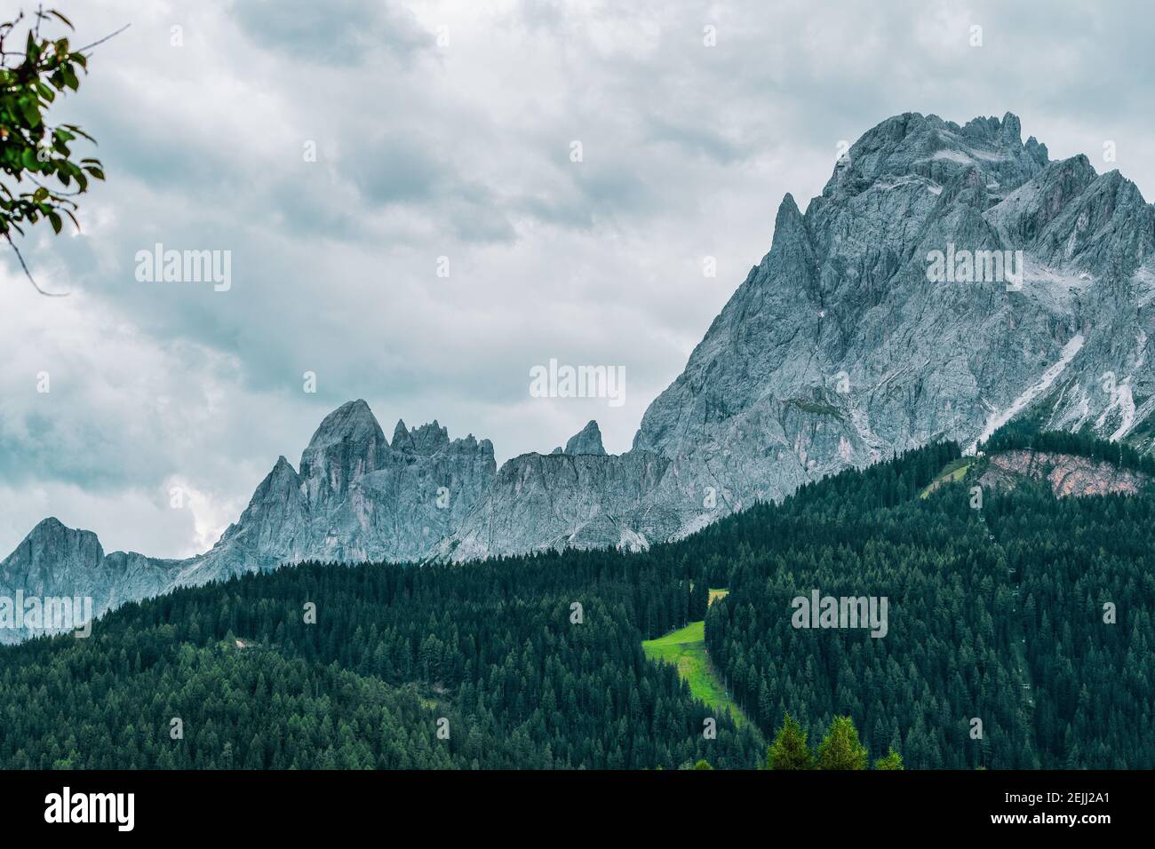 panoramic view of the forests and mountains of the Dolomites, Italy ...