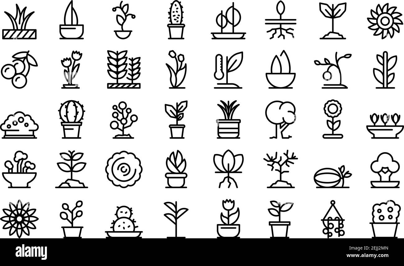 Plants icon. Outline plants vector icon for web design isolated on ...