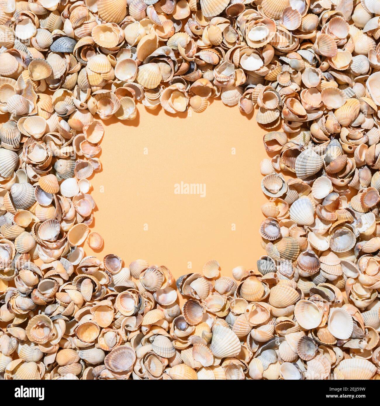 Square frame of seashells with copy space on beige background Stock ...