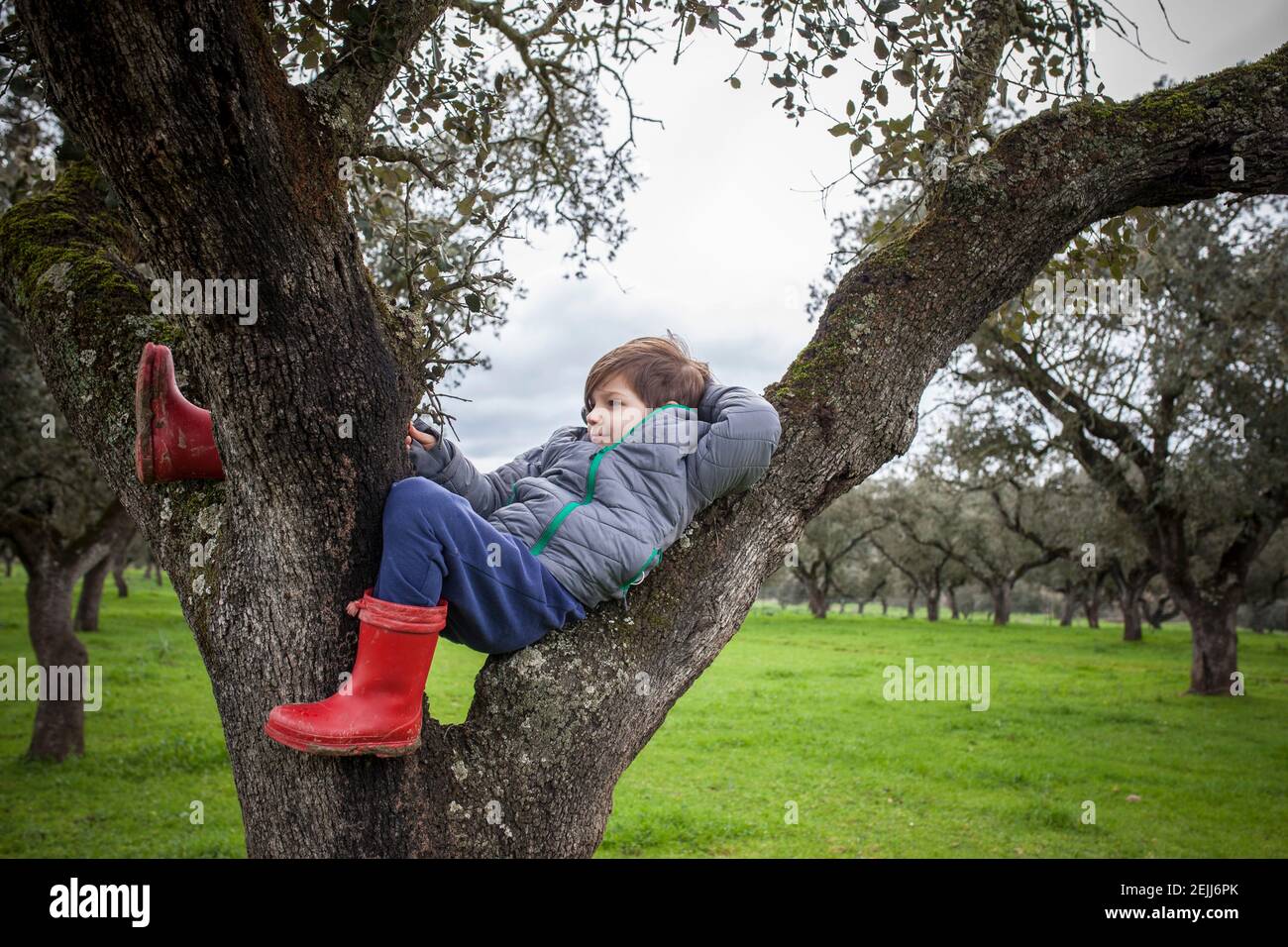 Child boy relaxing over tree branch after intense journey in nature ...