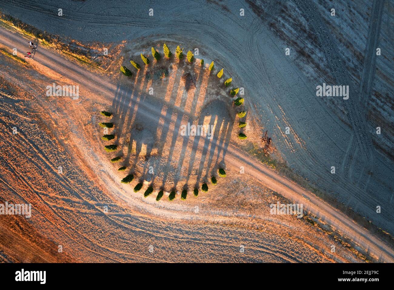 Aerial, vertical view of the famous circle of cypress trees. Colorful ...