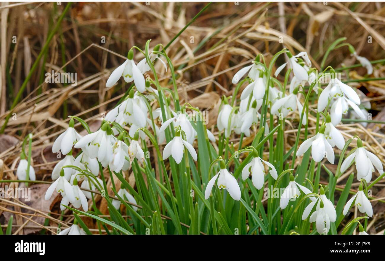 Spring summer fall winter hi-res stock photography and images - Alamy